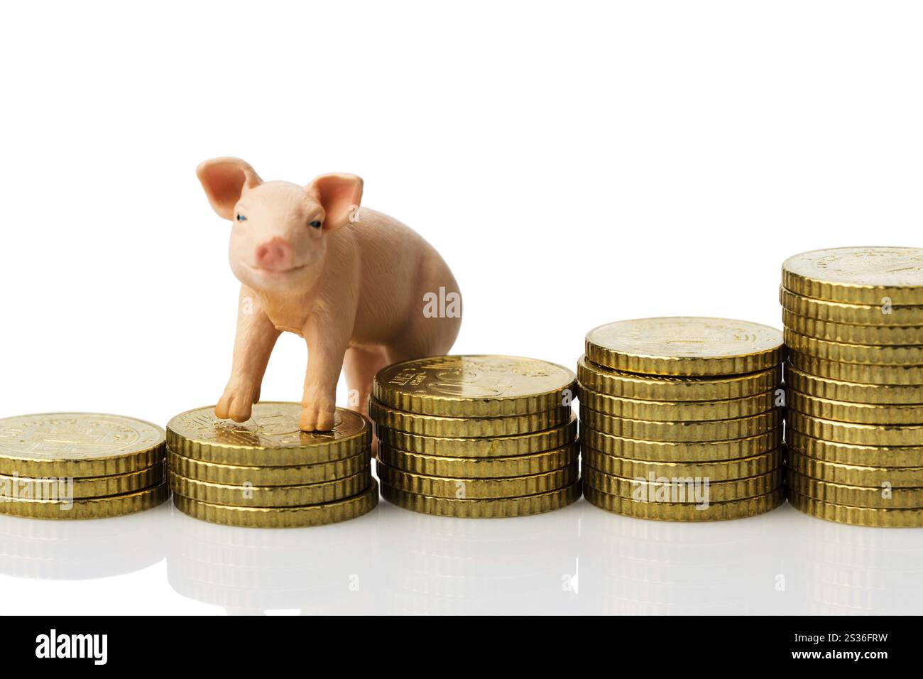 A pig stands on a pile of coins. Rising costs for animal feed in ...