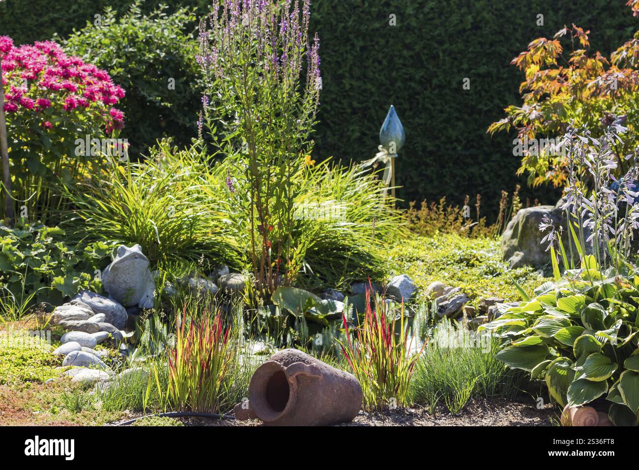 Various flowers and plants grow in a beautiful garden. Austria Stock ...