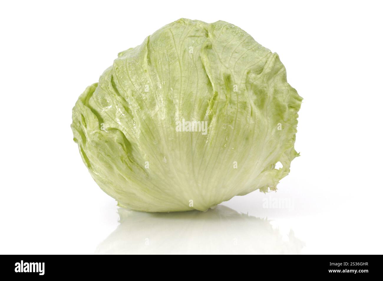 Fresh head lettuce Crisphead Isolated on white background Stock Photo ...
