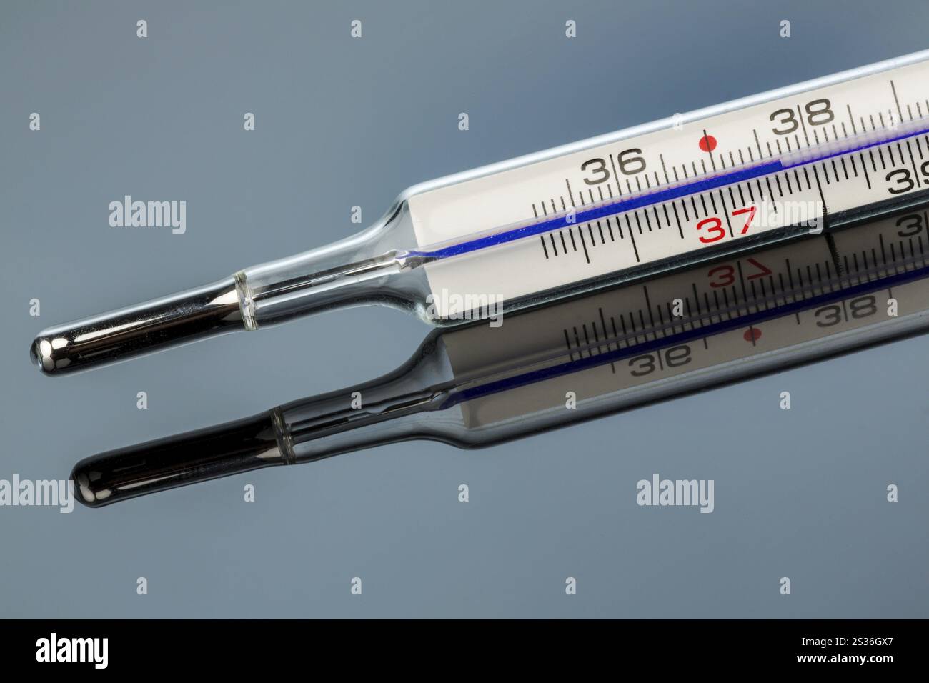 A clinical thermometer is reflected on a glass plate Austria Stock ...