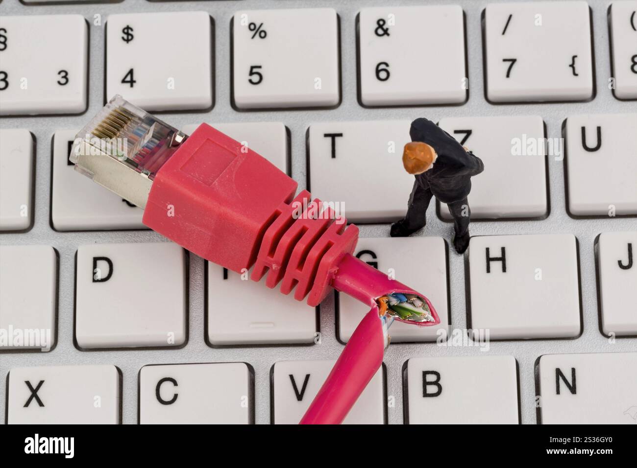 Worker, network plug, keyboard, symbol photo for Internet, malfunction ...