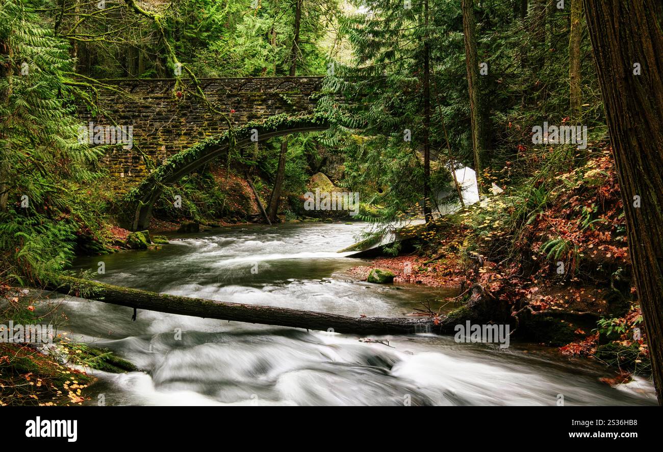 Stone bridge in Whatcom Falls Park in Washington state Stock Photo - Alamy