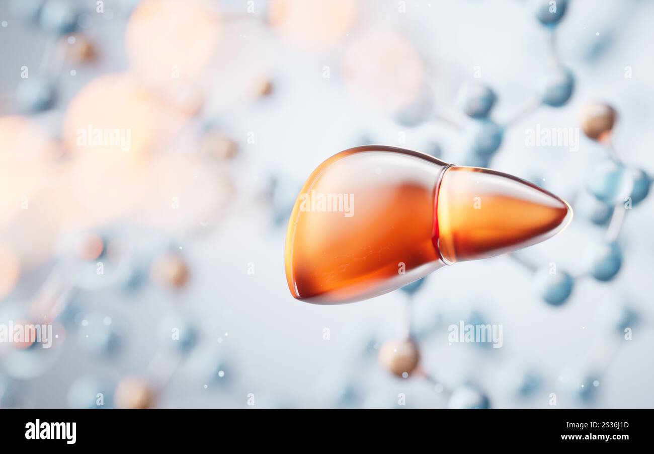 Liver with transparent molecules background, 3d rendering. 3D ...