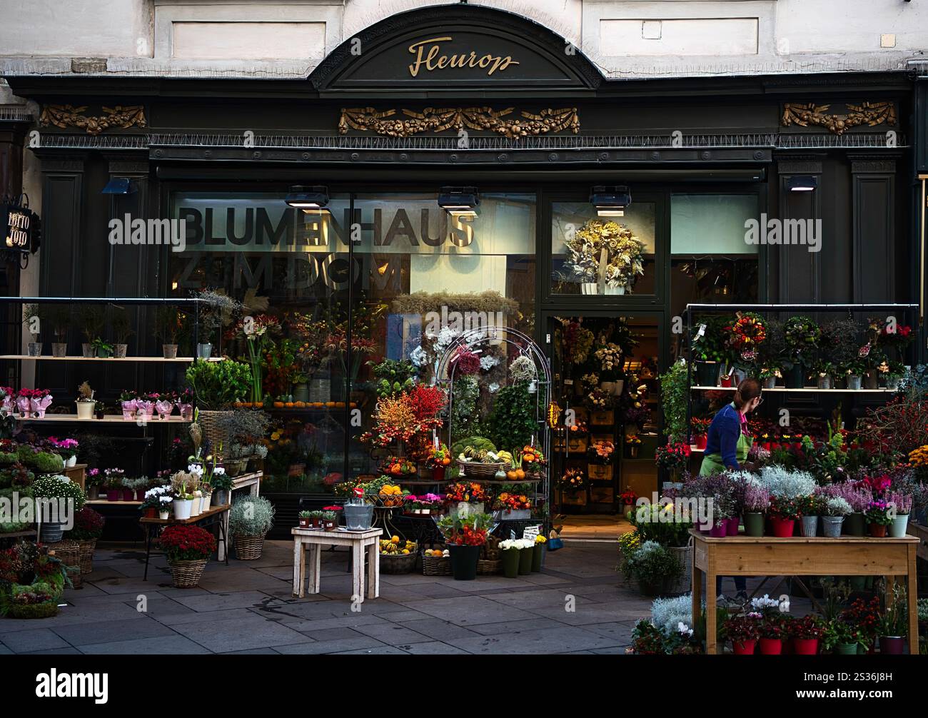 Stephanplatz hi-res stock photography and images - Alamy