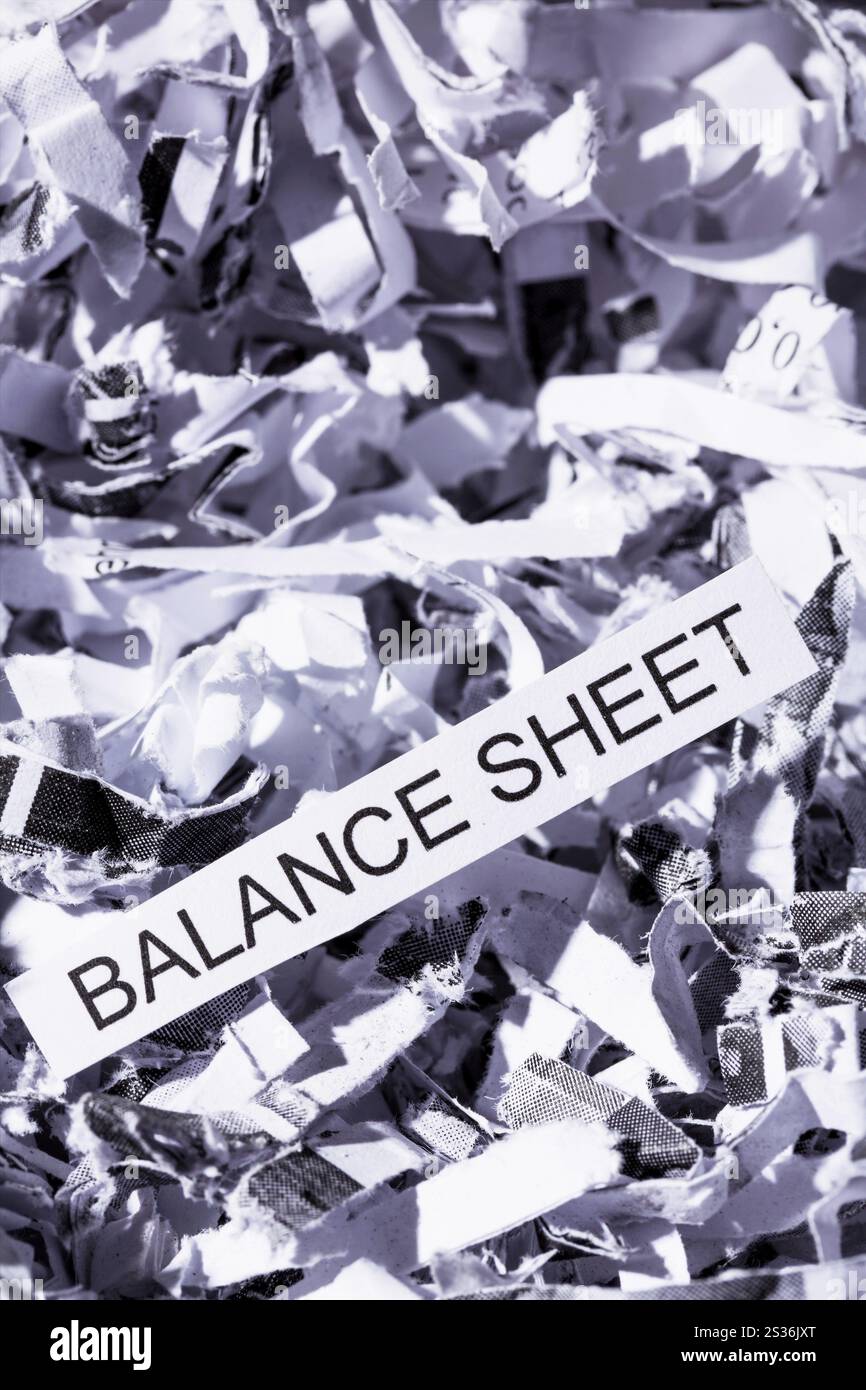 Paper shreds with the keyword Balance Sheet, symbolic photo for data ...