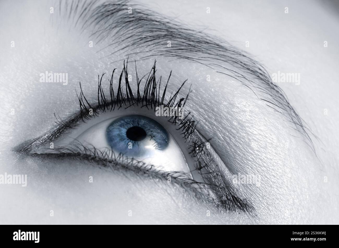 Stock photo of a Blue female eye looking up Close-up macro photography ...