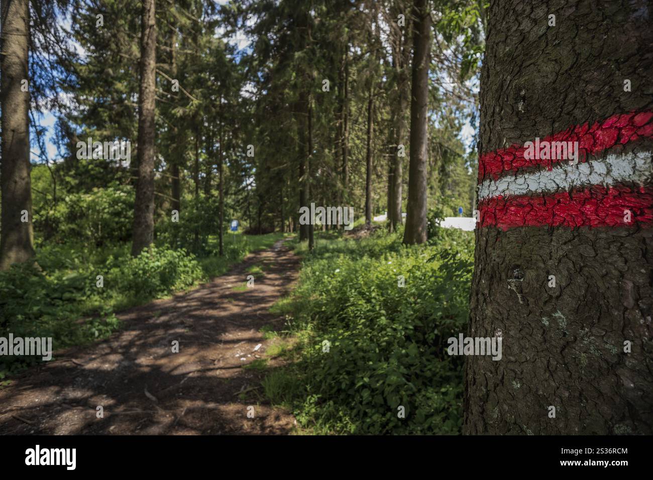 Austrian hiking markings. Symbol for gentle tourism, helplessness and ...