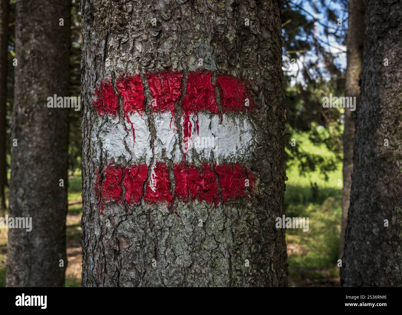 Austrian hiking markings. Symbol for gentle tourism, helplessness and ...