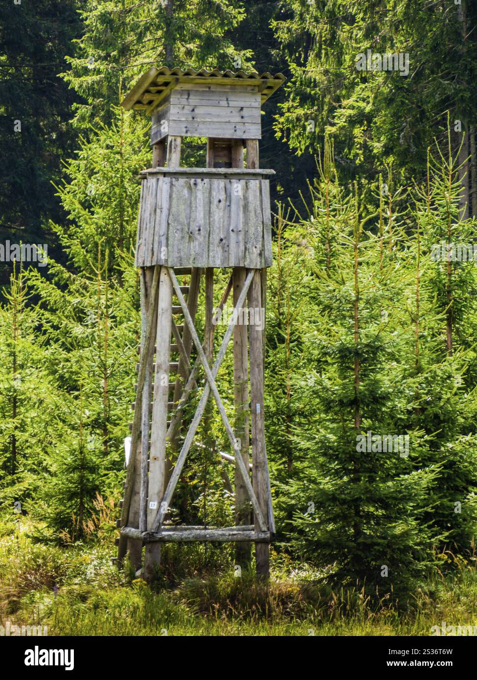 Afforested hi-res stock photography and images - Alamy