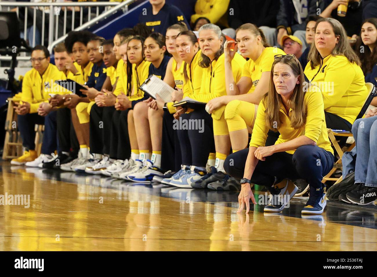 ANN ARBOR, MI - JANUARY 8: Michigan Wolverines head coach Kim Barnes ...