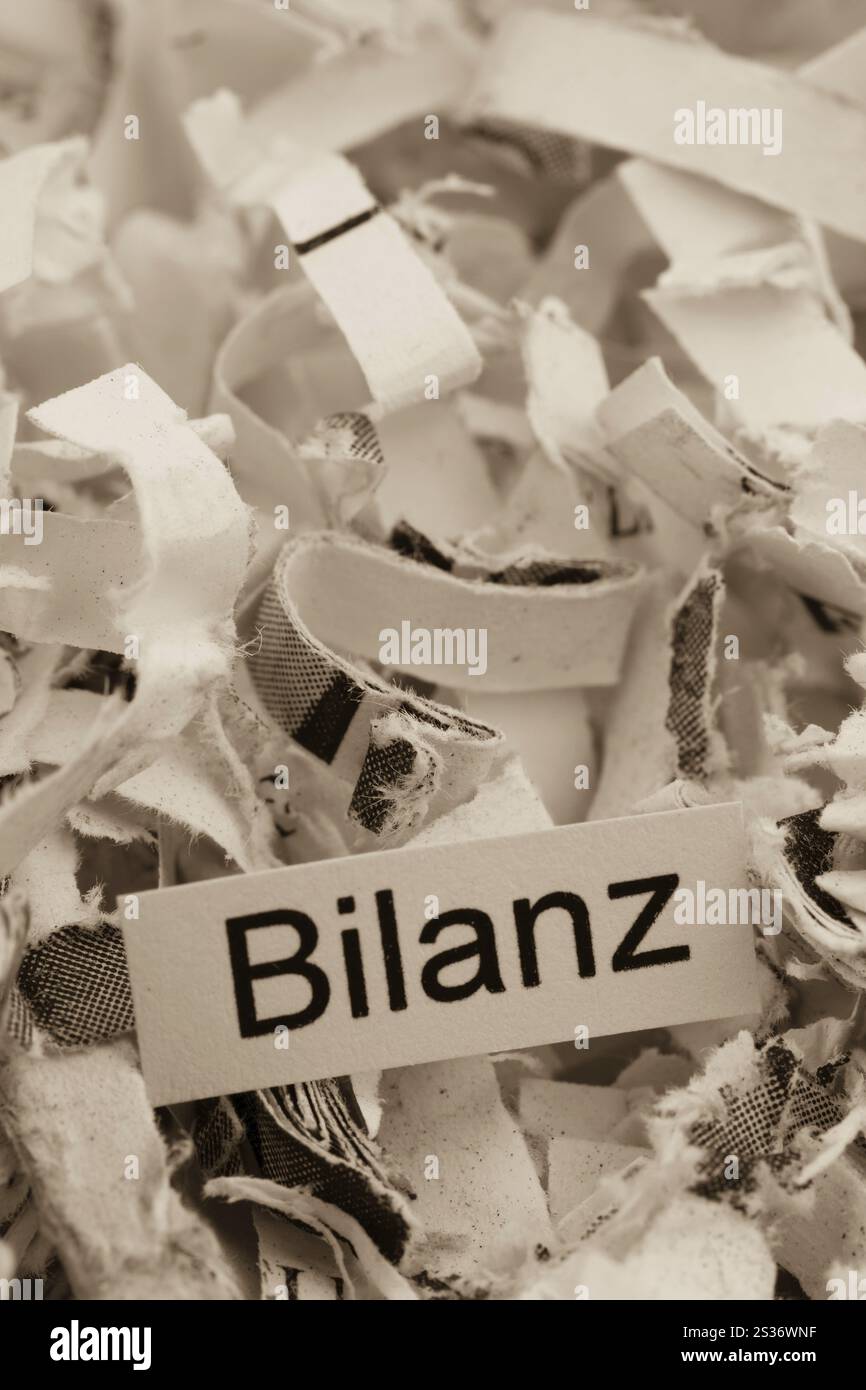 Paper shreds with keyword balance sheet, symbolic photo for data ...