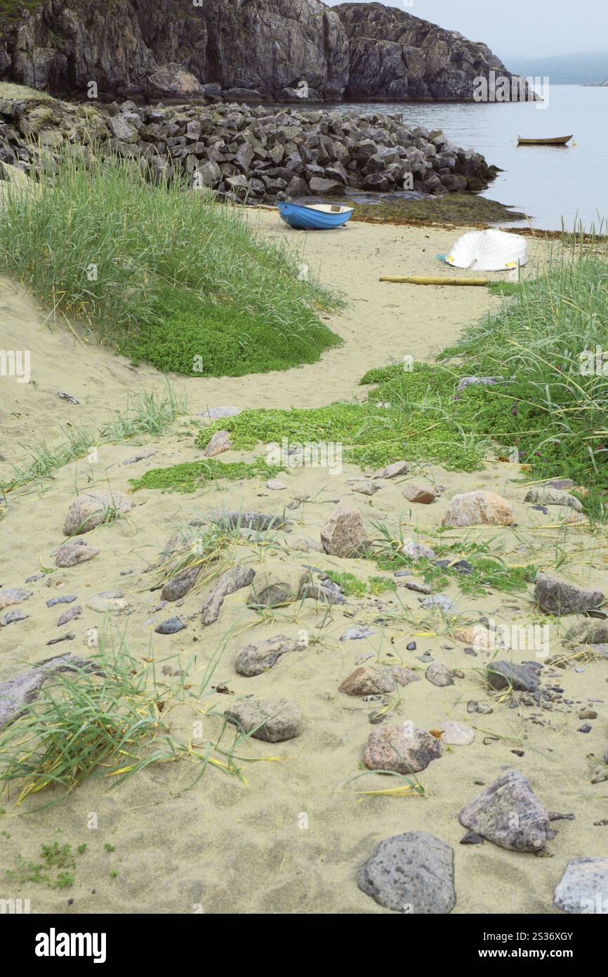 Lonely coast of the Barents Sea (arctic ocean) at the Norwegian-Russian ...