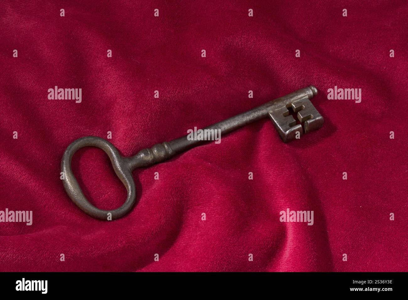 A key lies on a red velvet cushion. Symbolic photo for handing over ...