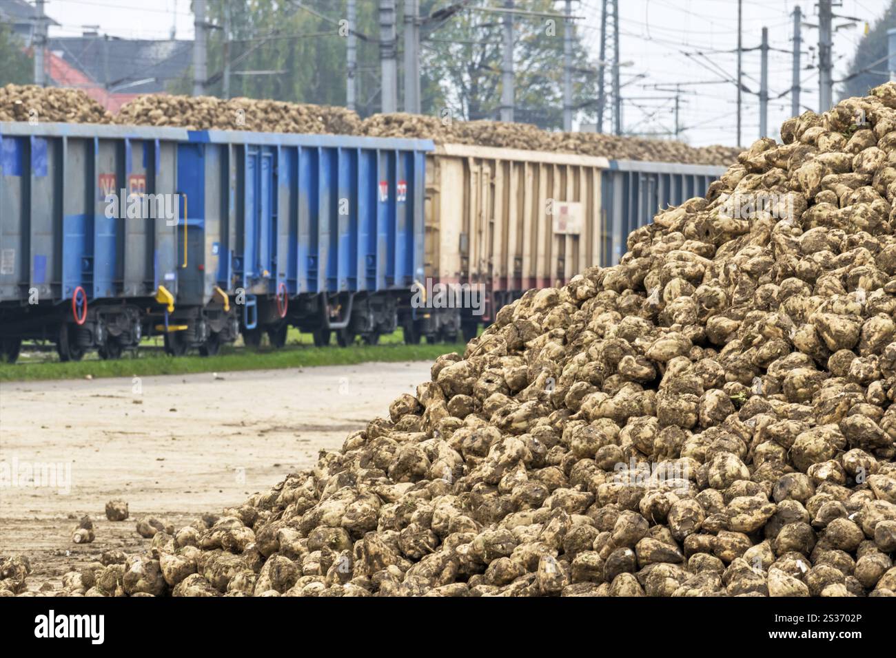 Sugar beet and goods train, symbol for harvest, logistics, renewable ...