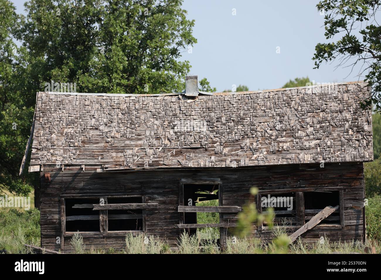 abandoned farm building with rotting roof in overgrown meadow Stock ...