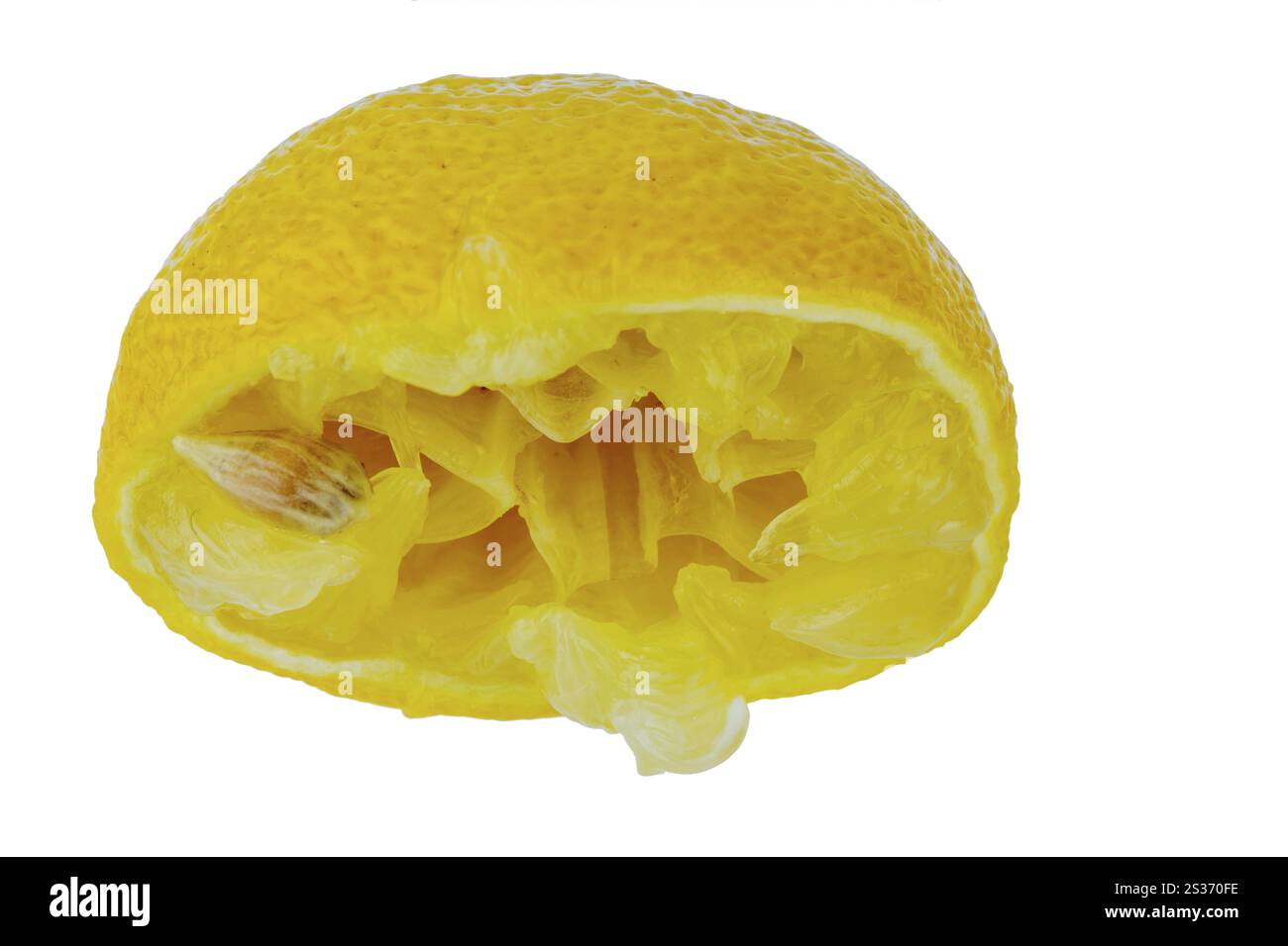 A squeezed lemon on a white background. Symbolic photo for taxes and ...