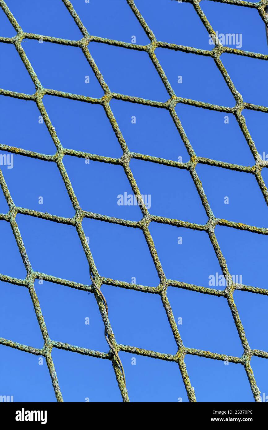 Net and blue sky, symbol for network, captivity, border, security ...