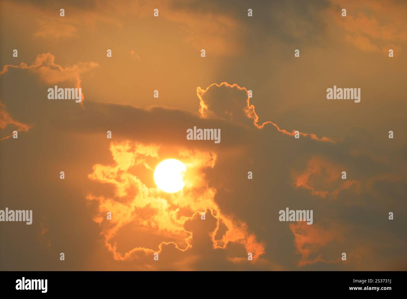 Sun through dark nature hi-res stock photography and images - Alamy