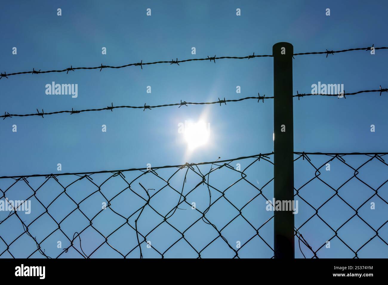 Barbed wire and sunshine, symbolising imprisonment, borders, freedom ...