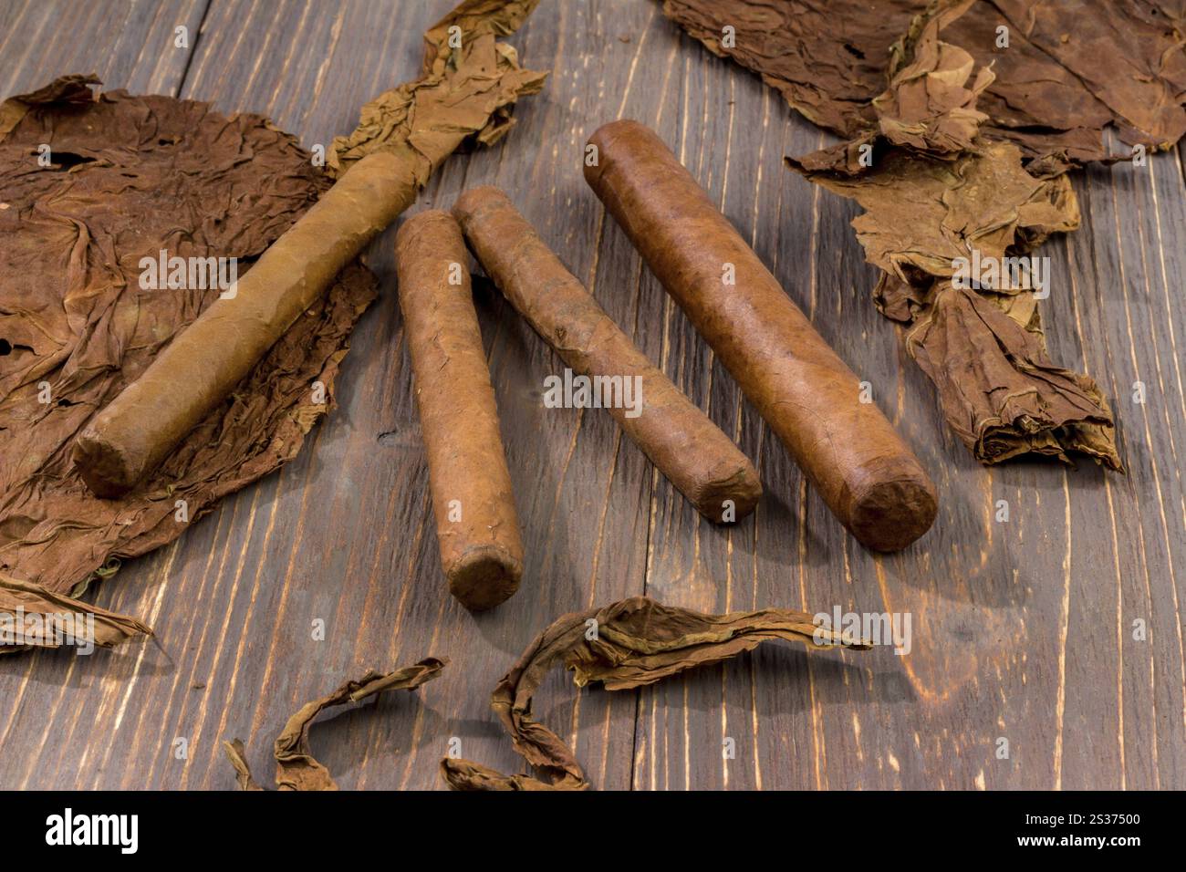 Leaves of tobacco and finished cigars lie side by side. Austria Stock ...