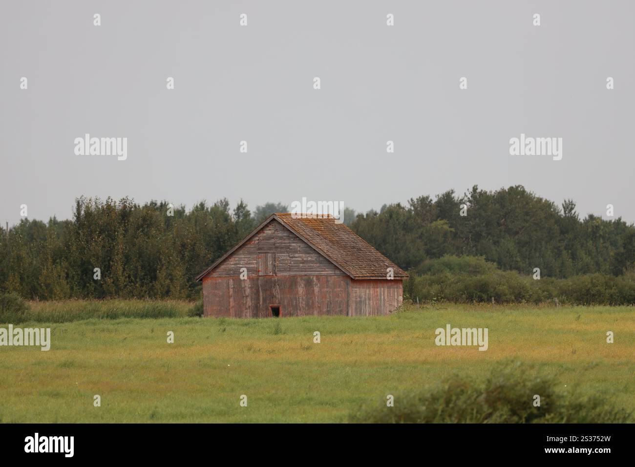 Abandoned building in overgrown hi-res stock photography and images - Alamy