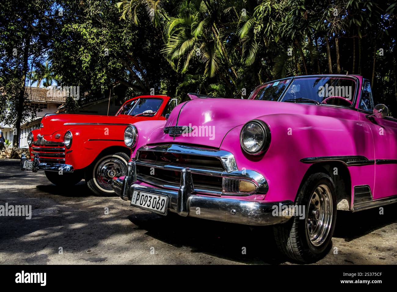 Cuba, Caribbean, South America. Vintage cars on the roads of Austria ...