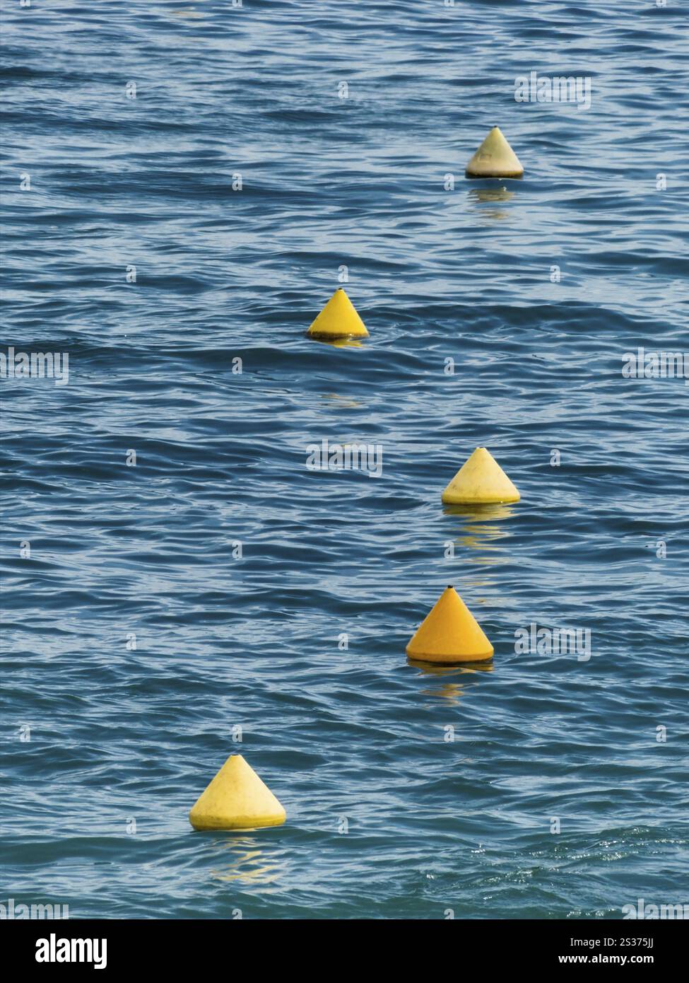 Yellow buoys float as a boundary in the sea Stock Photo - Alamy