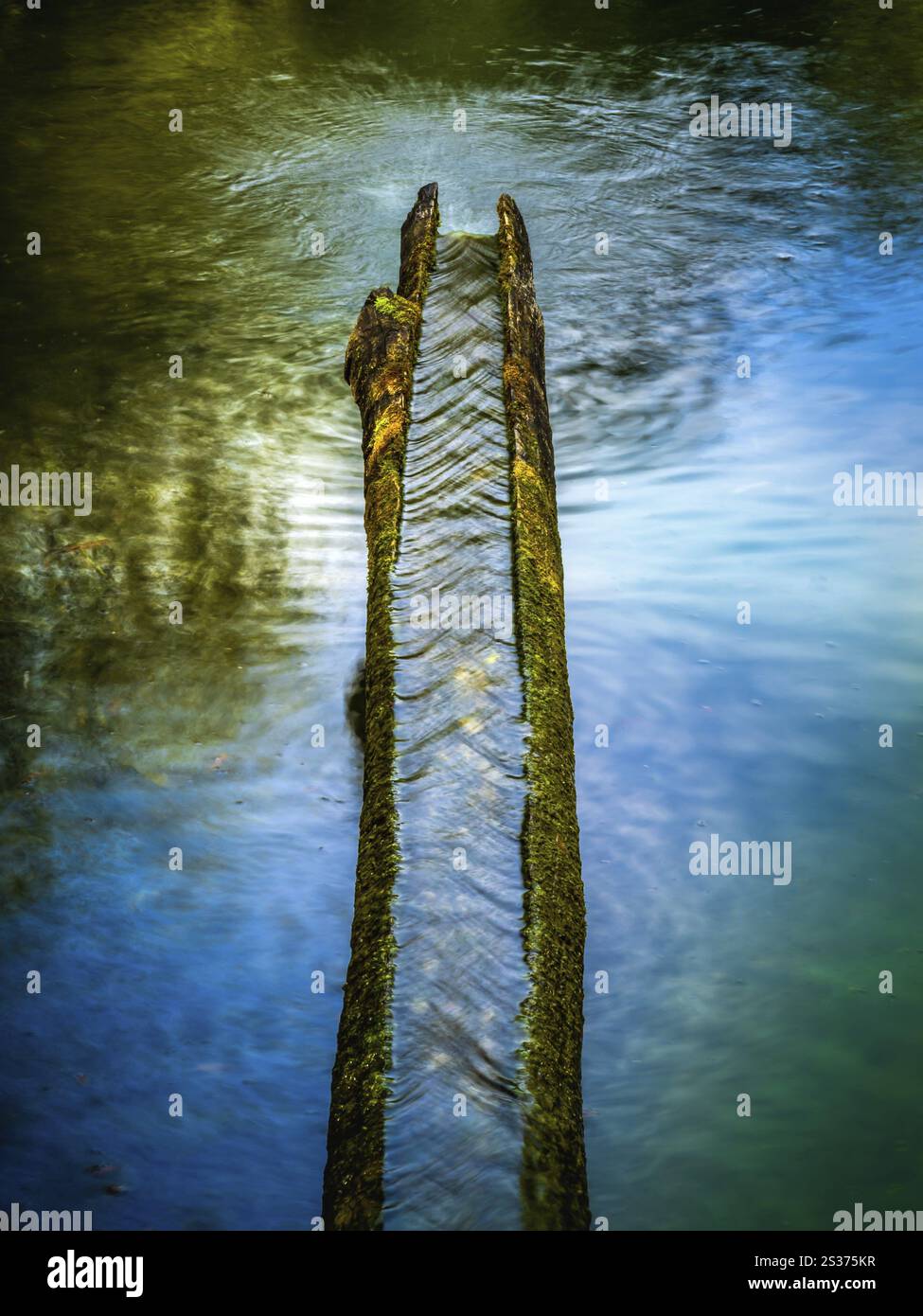 Drinking water from a spring flows into a lake. Symbol for pure water ...