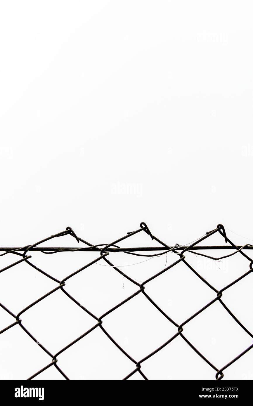 Wire mesh fence against a white background, symbolising border, network ...