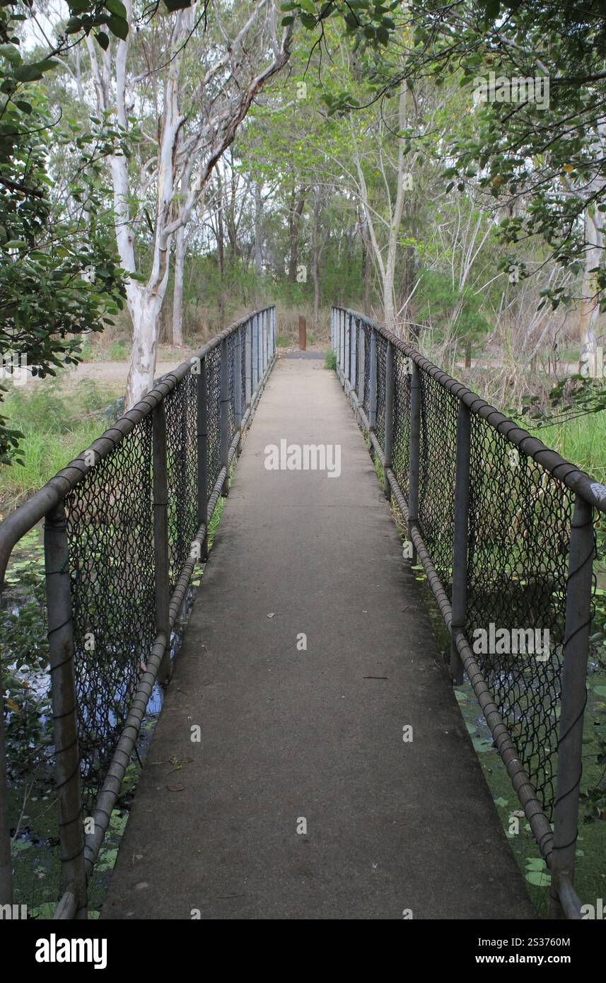 Bridge over a creek in a forest of trees Stock Photo - Alamy