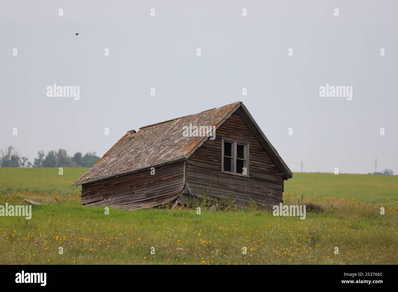 long abandoned derelict farm house collapsing on itself Stock Photo - Alamy