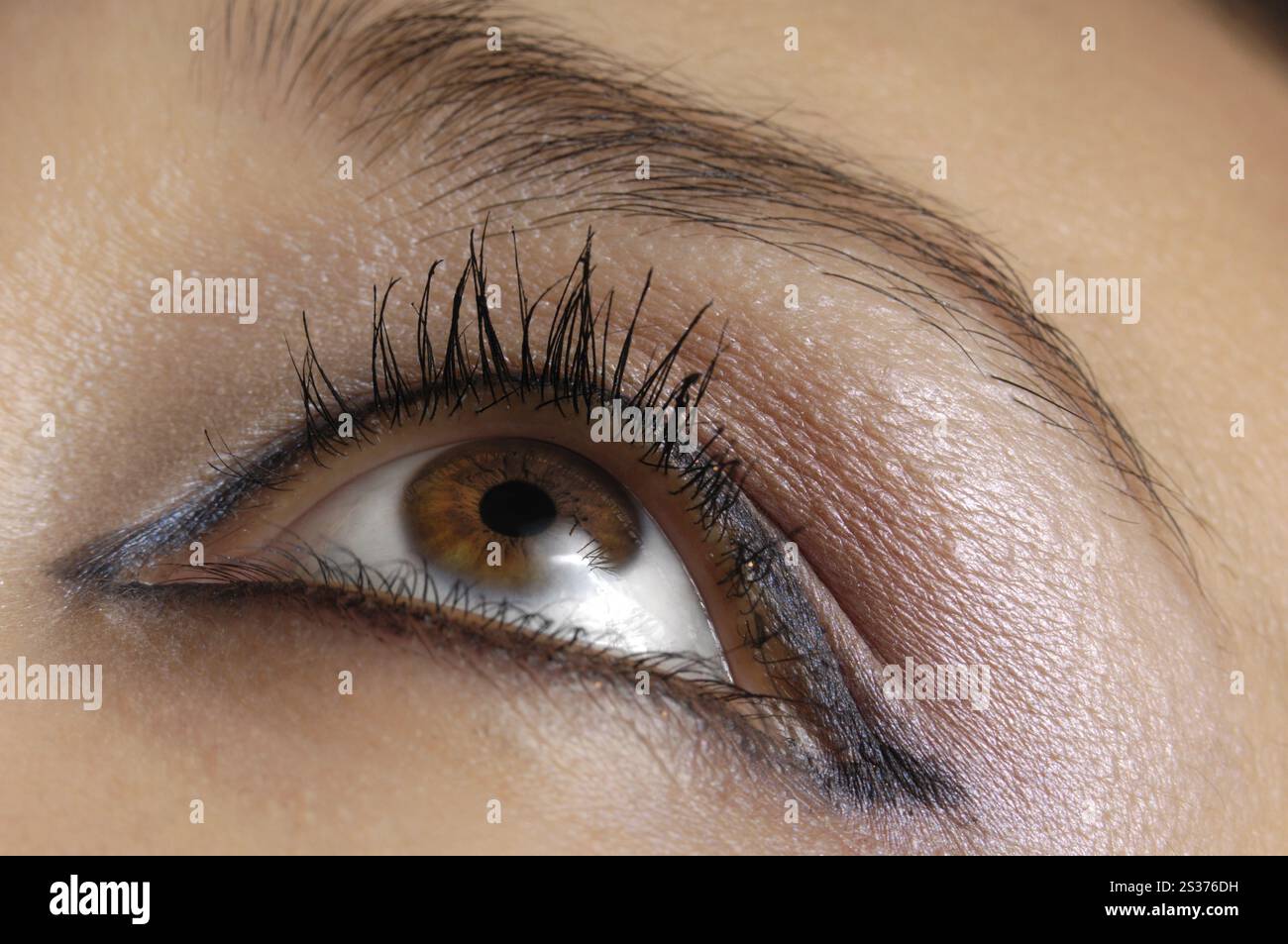 Stock photo of a Brown female eye looking up Close-up macro photography ...