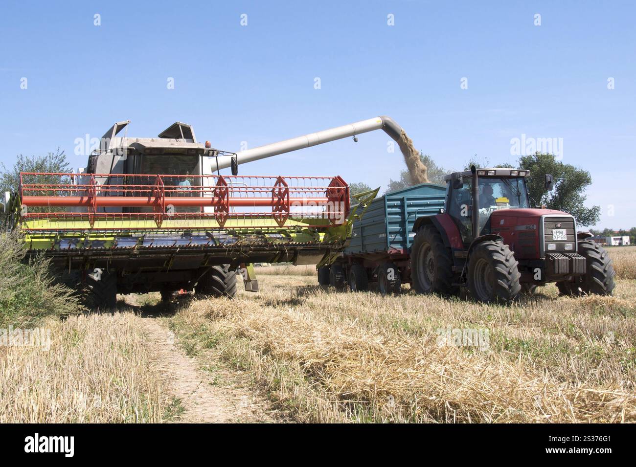 Combine harvester at work Stock Photo - Alamy