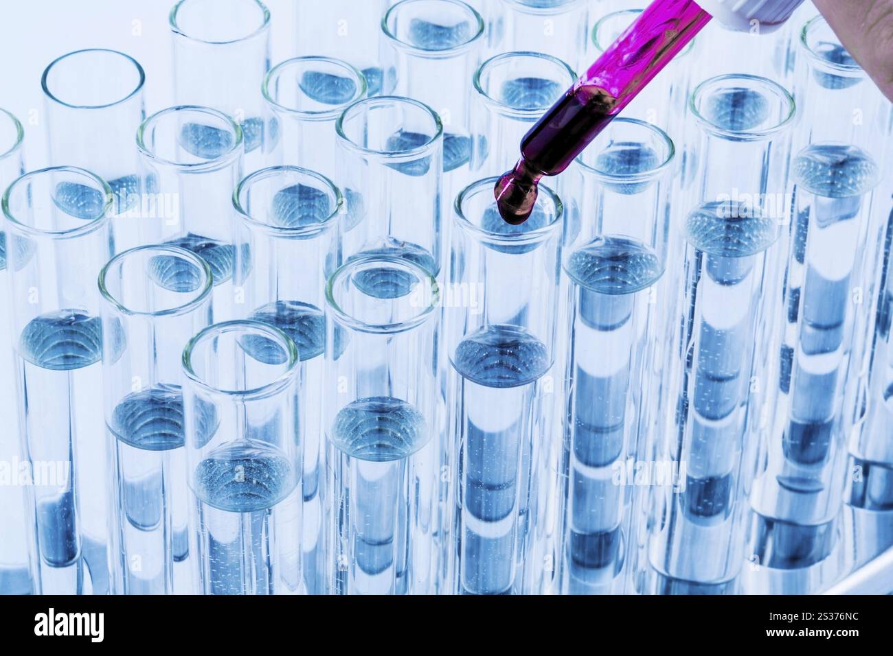 Many test tubes during an experiment in a university research ...