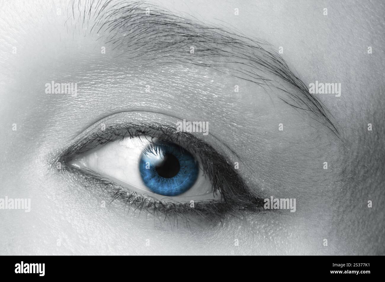 Stock photo of a Blue female eye macro photography Eyesight vision ...