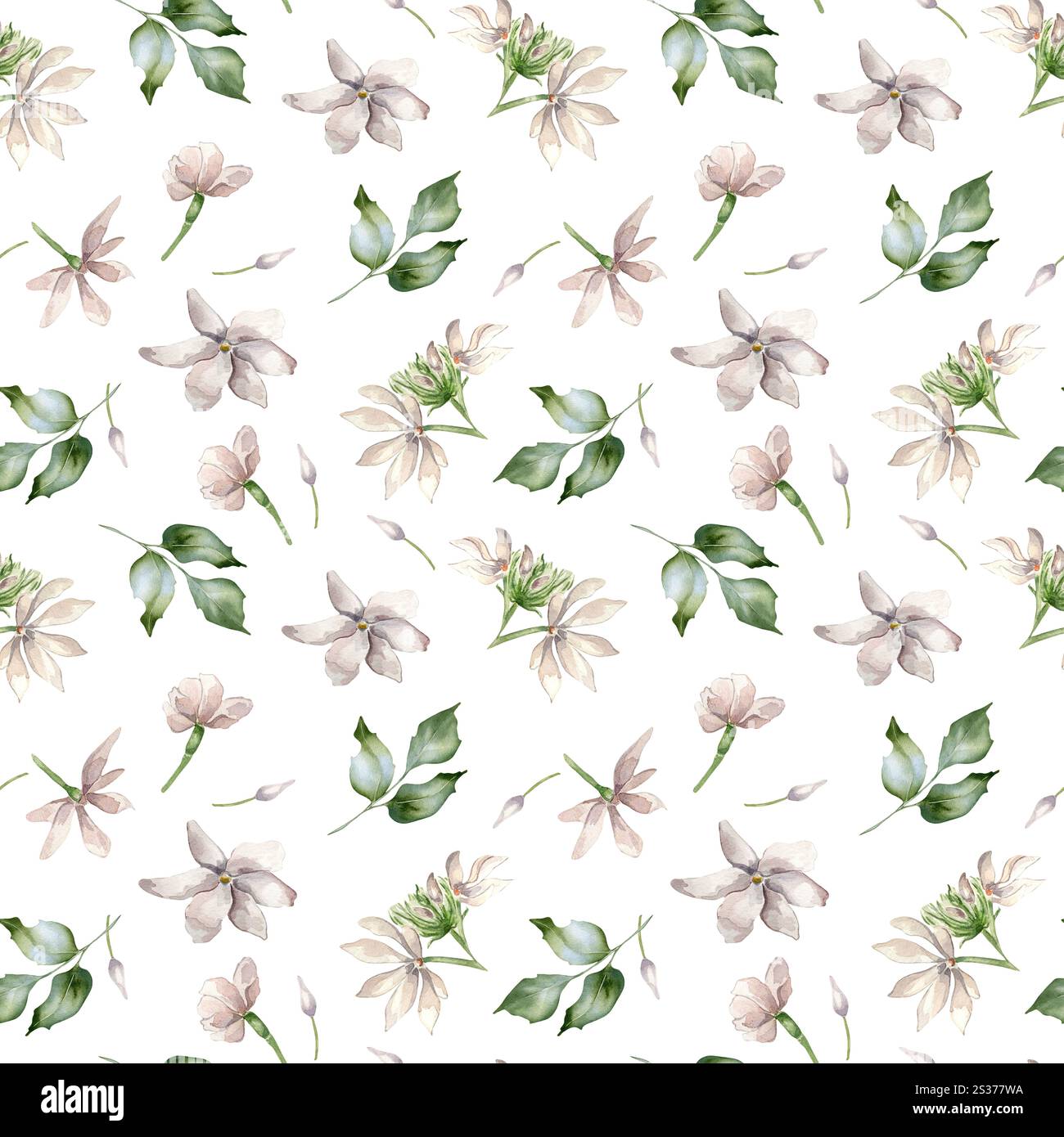 Watercolor of Jasmine, buds, leaves seamless pattern isolated ...