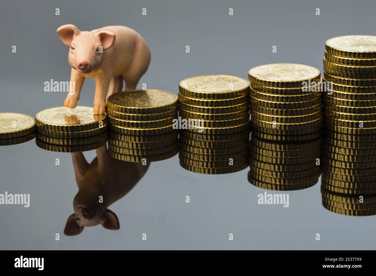 A pig stands on a pile of coins. Rising costs for animal feed in ...