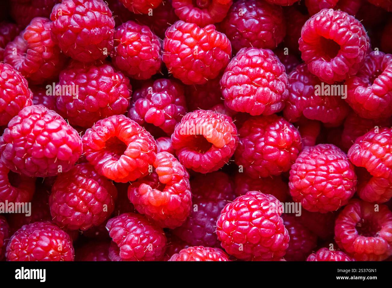 Fresh organic raspberries closeup view background. Wallpaper Stock ...