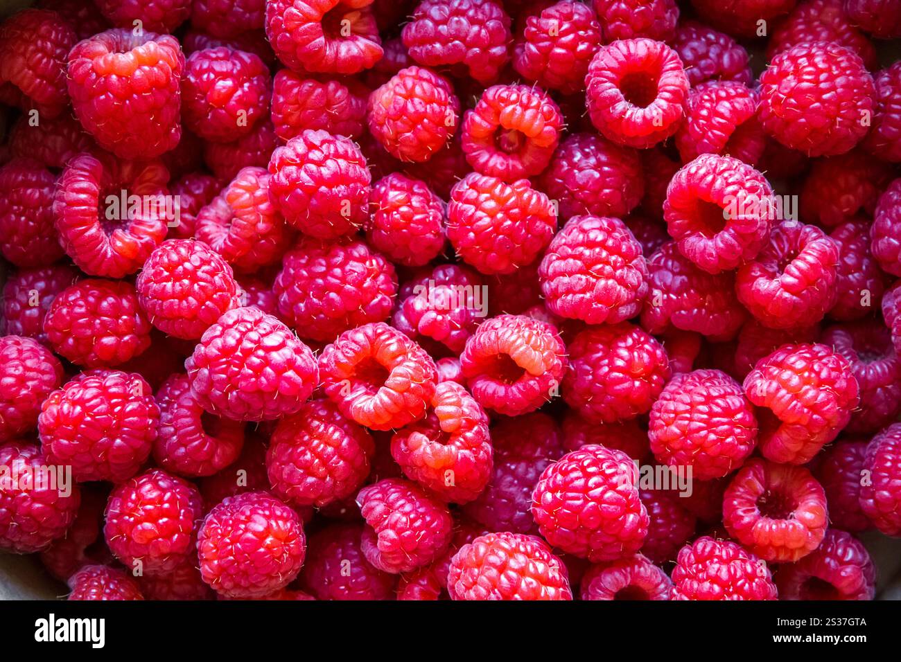 Fresh organic raspberries closeup view background. Wallpaper Stock ...
