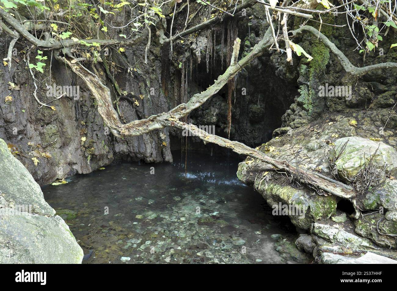 Bath of Aphrodite rock grotto Stock Photo - Alamy
