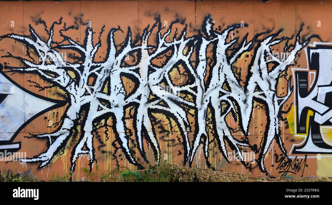 A photograph of a detailed wall artwork. Graffiti drawing is made with ...