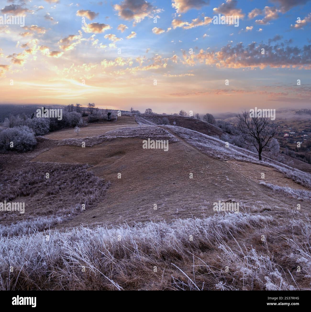 Village scene from above hi-res stock photography and images - Alamy