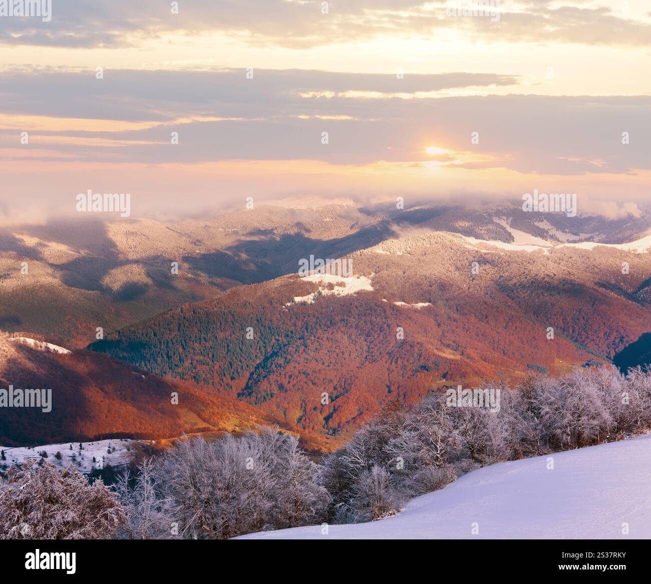 October mountain beech forest edge with first winter snow and last ...
