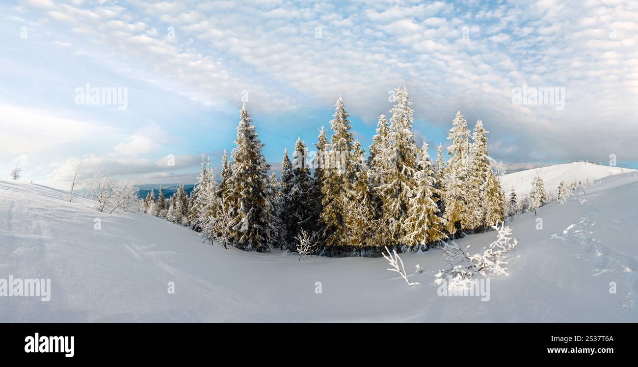 Winter calm mountain landscape with beautiful frosting trees and ...