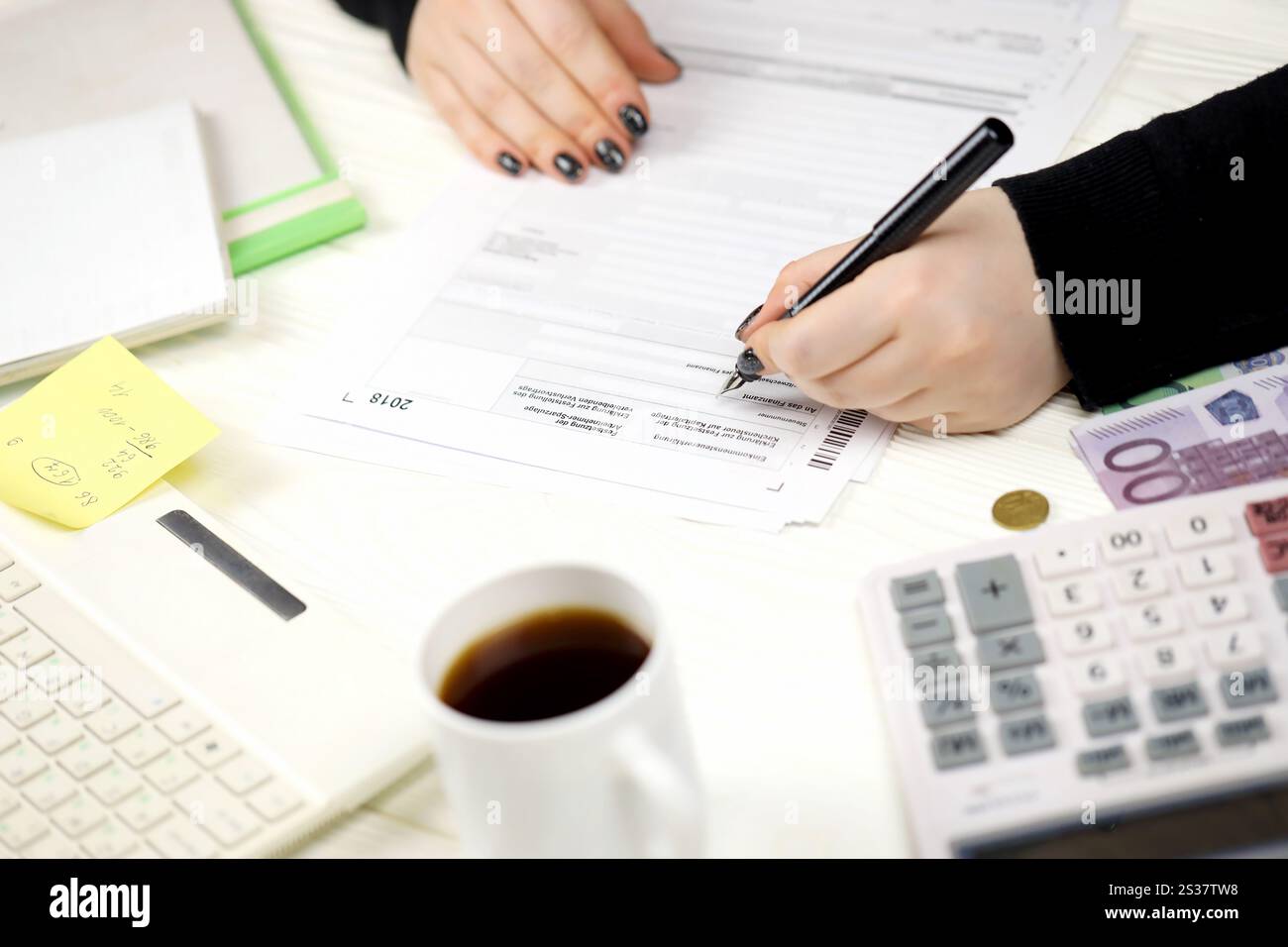 Accountant fill german tax form Einkommensteuererklarung in end of tax ...