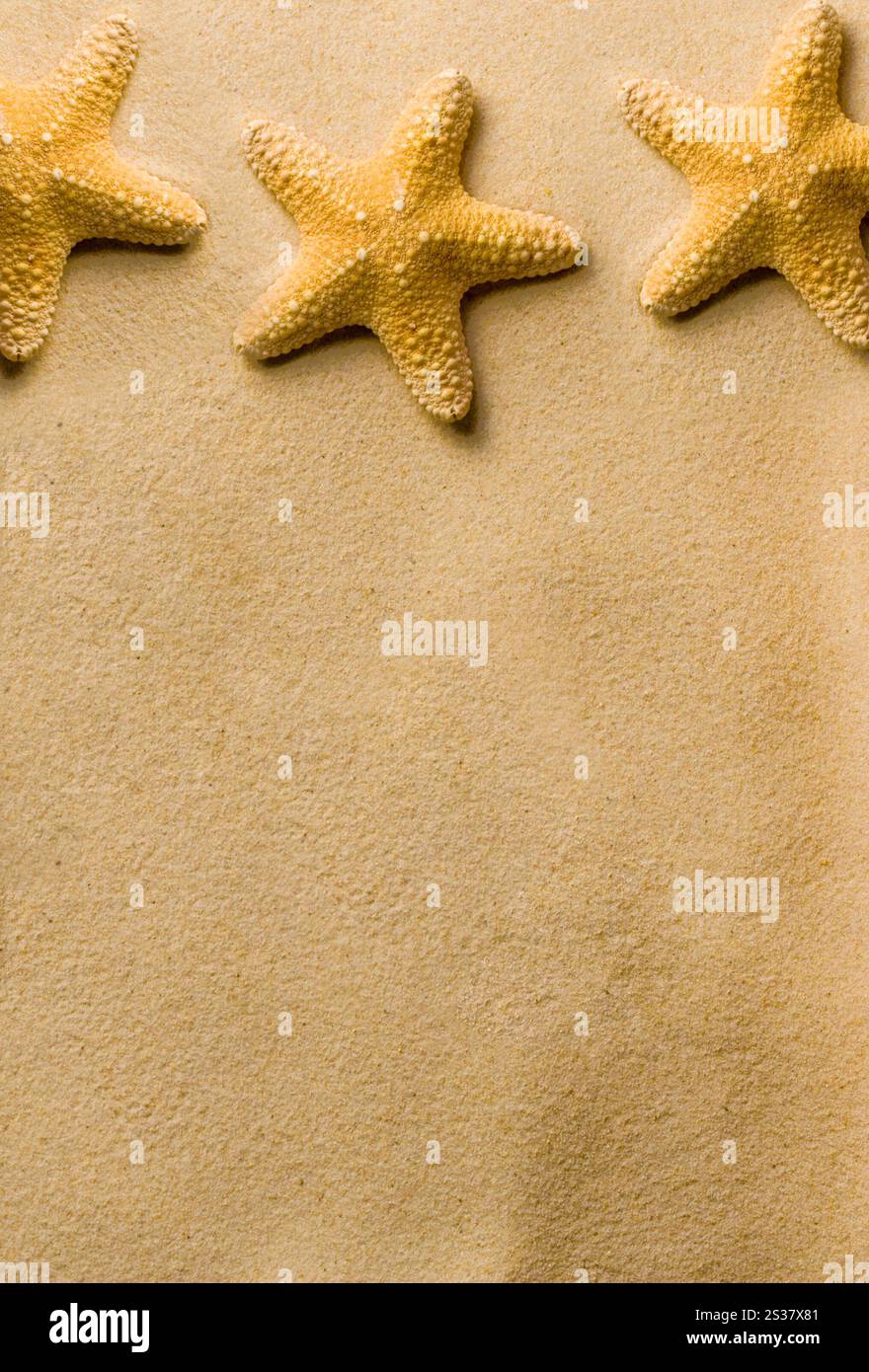 sea star on the beach background. sea star on the beach Stock Photo - Alamy