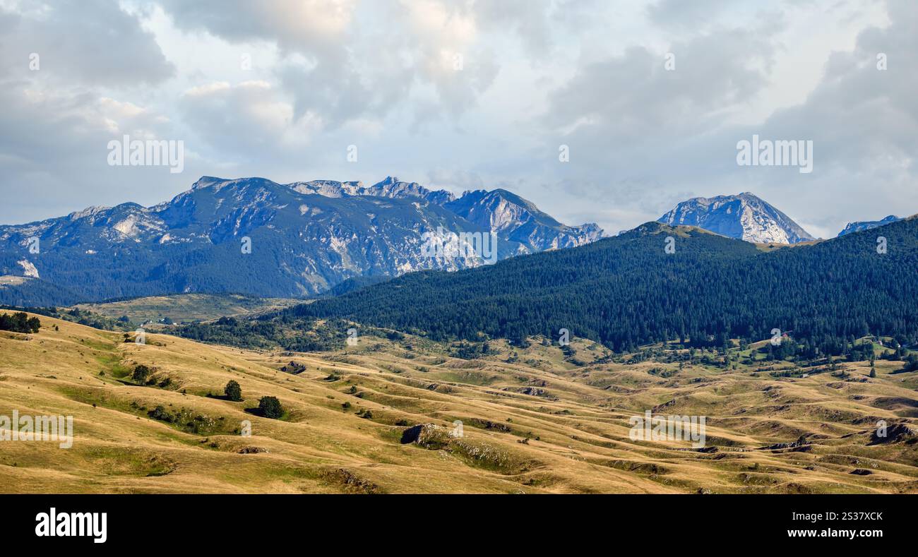 Picturesque summer mountain landscape of Durmitor National Park, Montenegro, Europe, Balkans ...