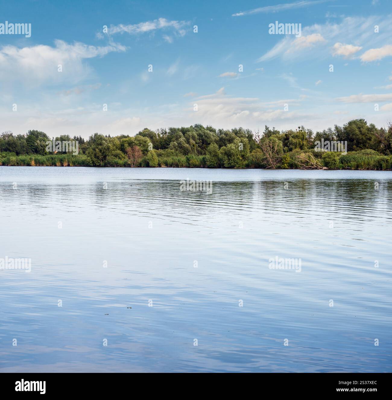 Summer lake day hi-res stock photography and images - Alamy