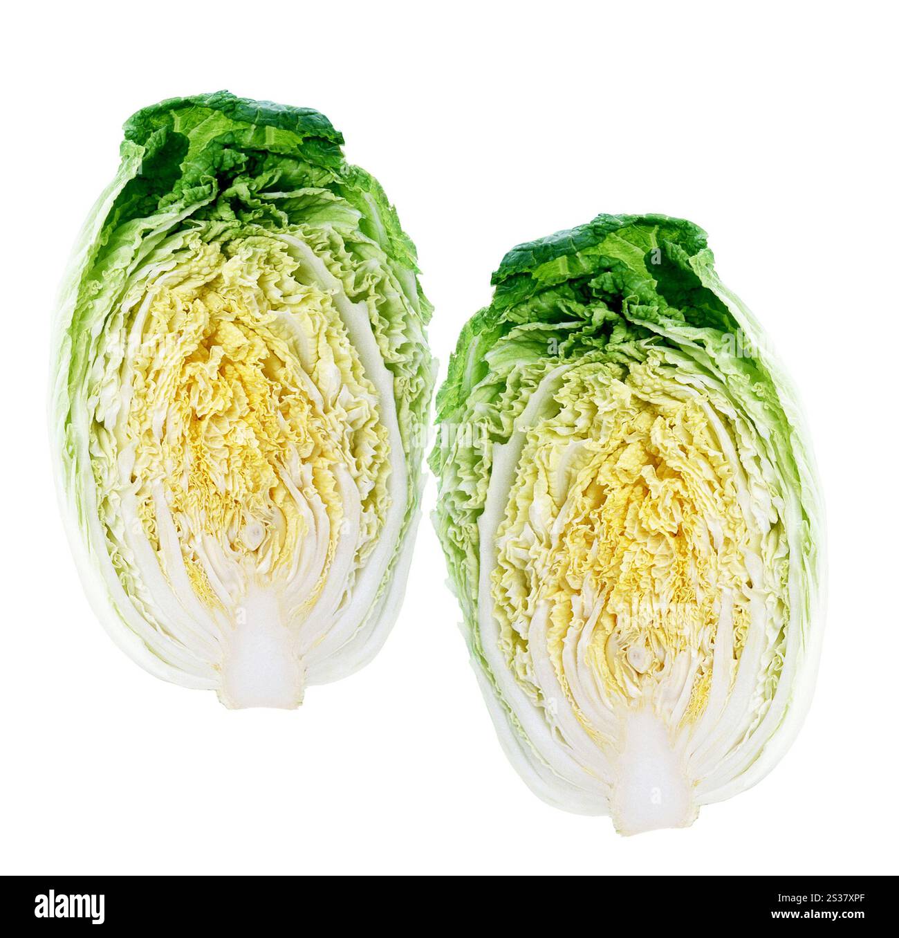 Halved chinese cabbage, clean crossection isolated. Halved chinese ...