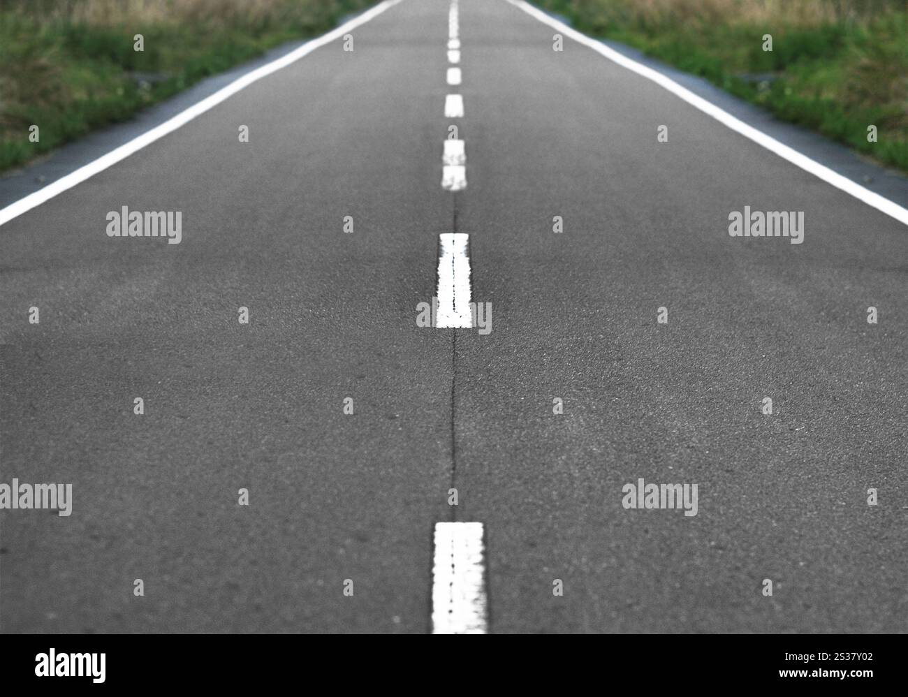 Straight tar road leading into the light. Straight tar road Stock Photo ...